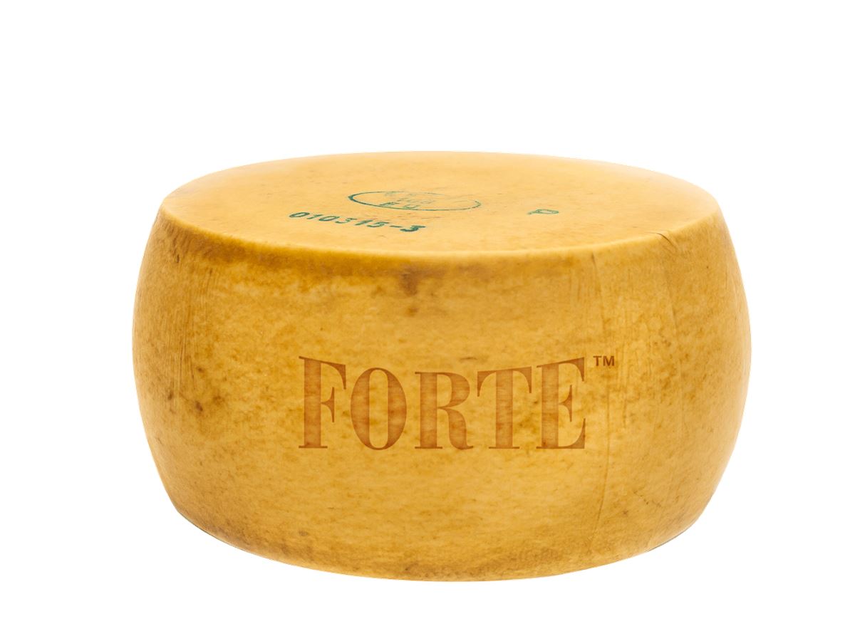 Valio Forte cheese block (33kg) | Valio