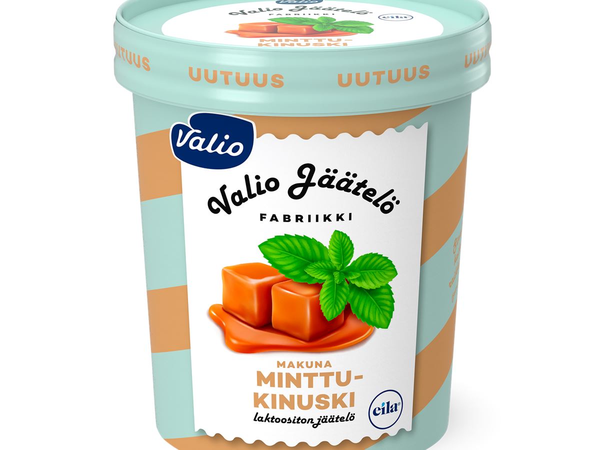 Valio jäätelöfabriikki minttu-kinuski - Valio Aimo
