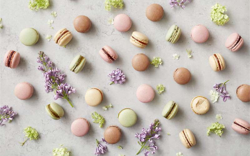 Etusivu - Valio Aimo