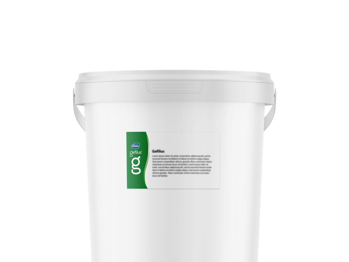 Natūralus jogurtas be laktozės VALIO GEFILUS, 5 kg | Valio