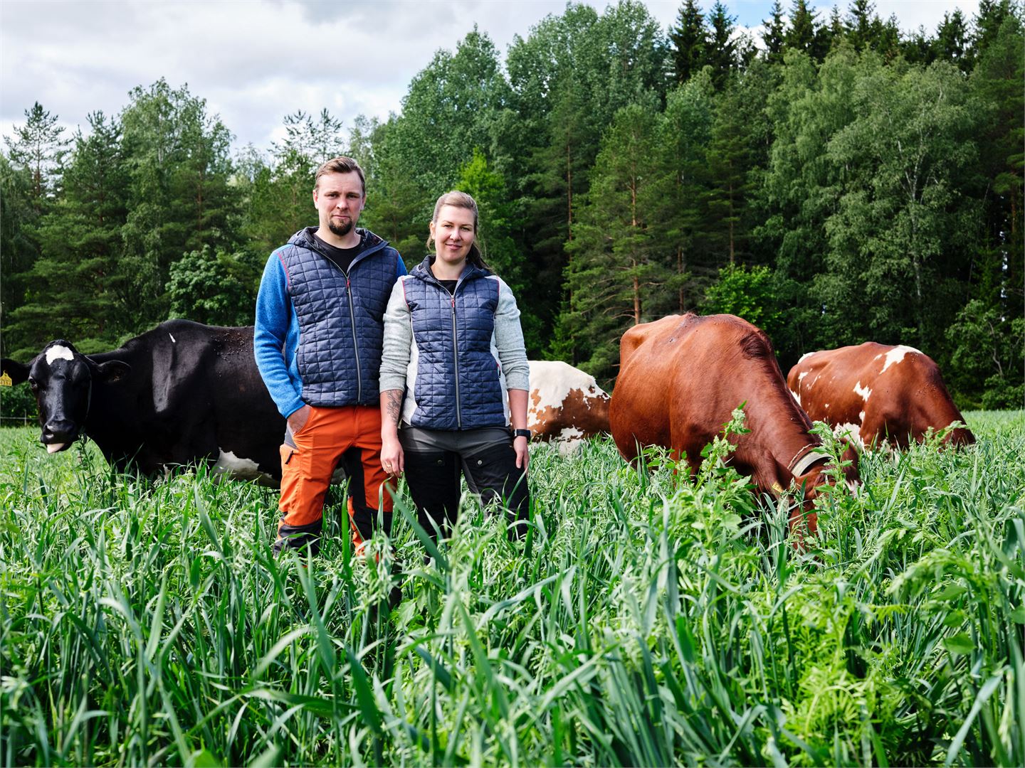 Valio’s sustainability report for the year 2020 is published - valio.com