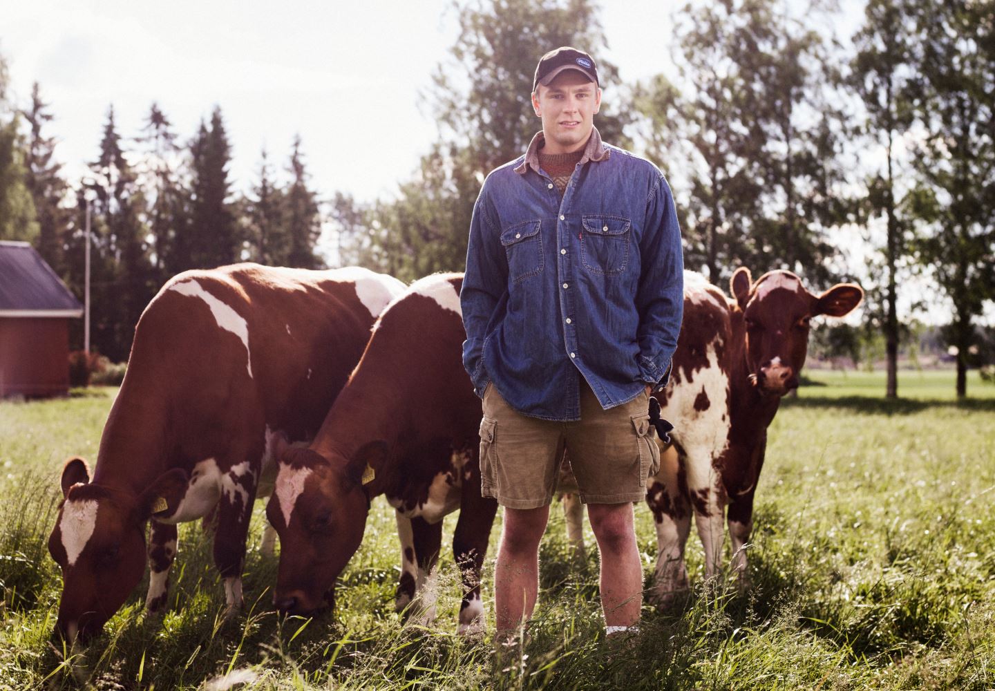 What makes Valio milk the best - valio.com