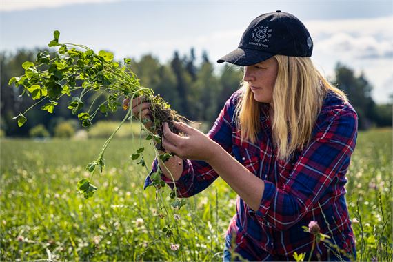 Carbon footprint calculation becoming more accurate – soil emissions will now be included ...