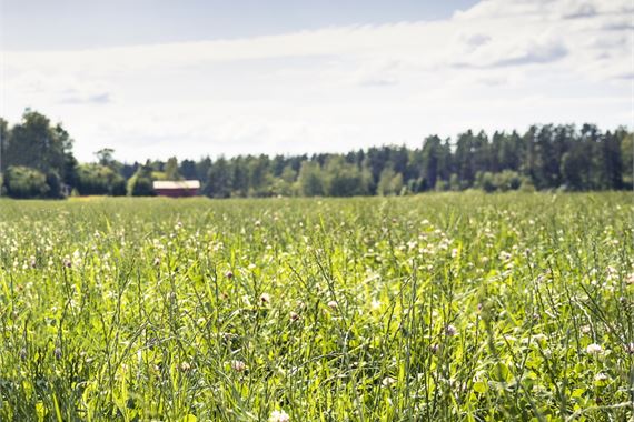 Valio’s Climate Programme - valio.com